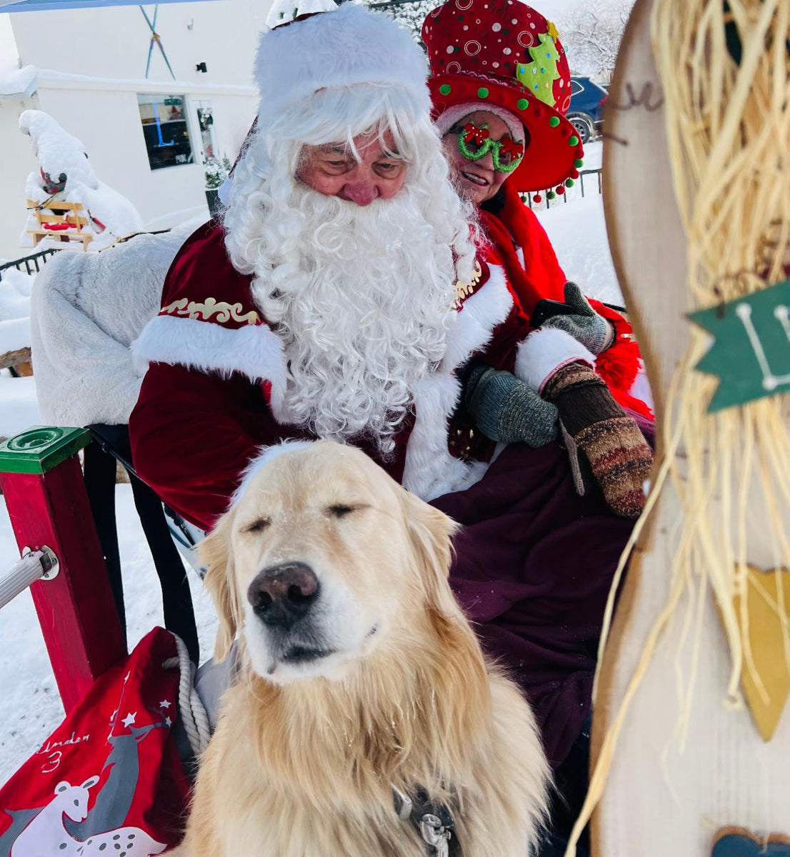 Ten Minutes Of Santa Transformation – Sweet Bird Studio